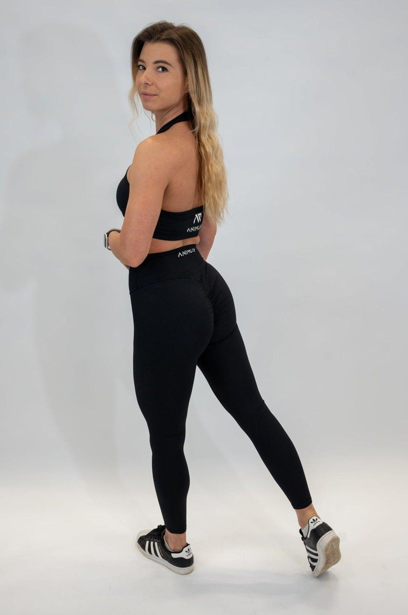 Animus Mobile– Animus Physique